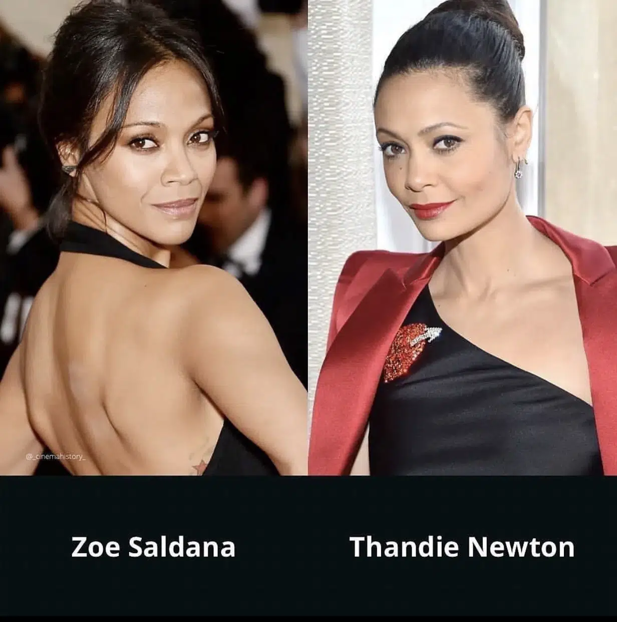 Estrelas do cinema que são cara de uma, focinho da outra!