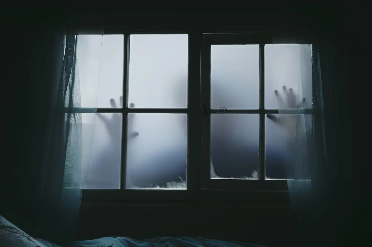 El Grito Silente de la Sombra: Cómo el Cine de Terror Ha Contado ...